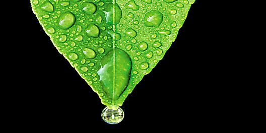 Cyrel® Flexographic Platemaking Equipment | DuPont | DuPont