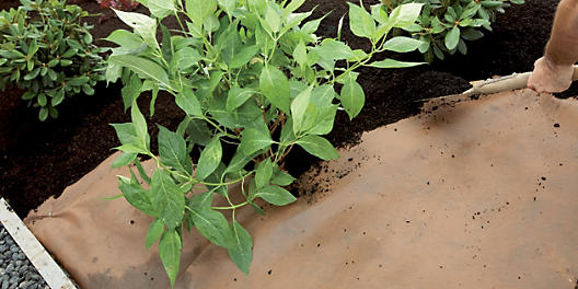 Chemical free weed control barrier - Plantex® Gold | DuPont UK