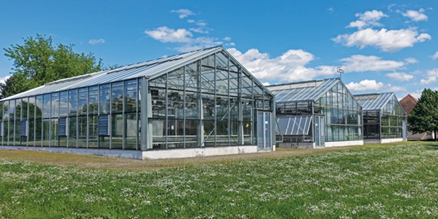 Root Barrier Solutions - Plantex® RootBarrier | DuPont UK