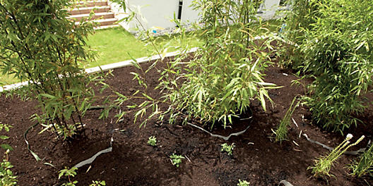 Root Barrier Solutions - Plantex® RootBarrier | DuPont UK